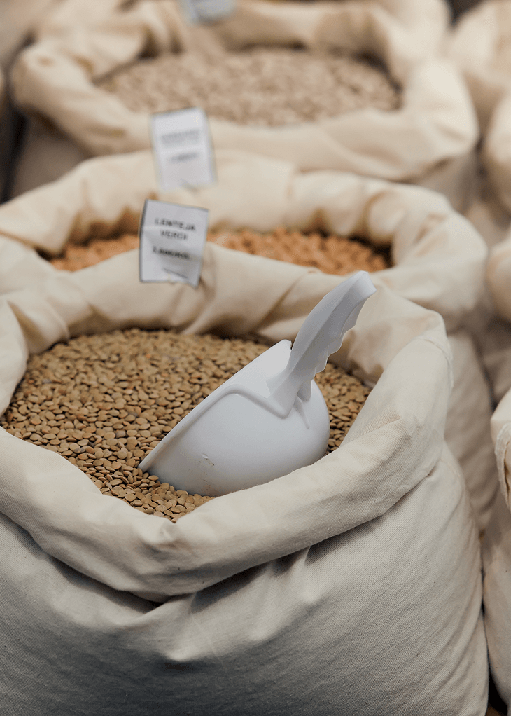 Account Dashboard | Export Plug