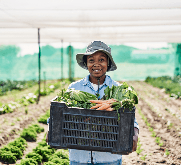 Export Plug